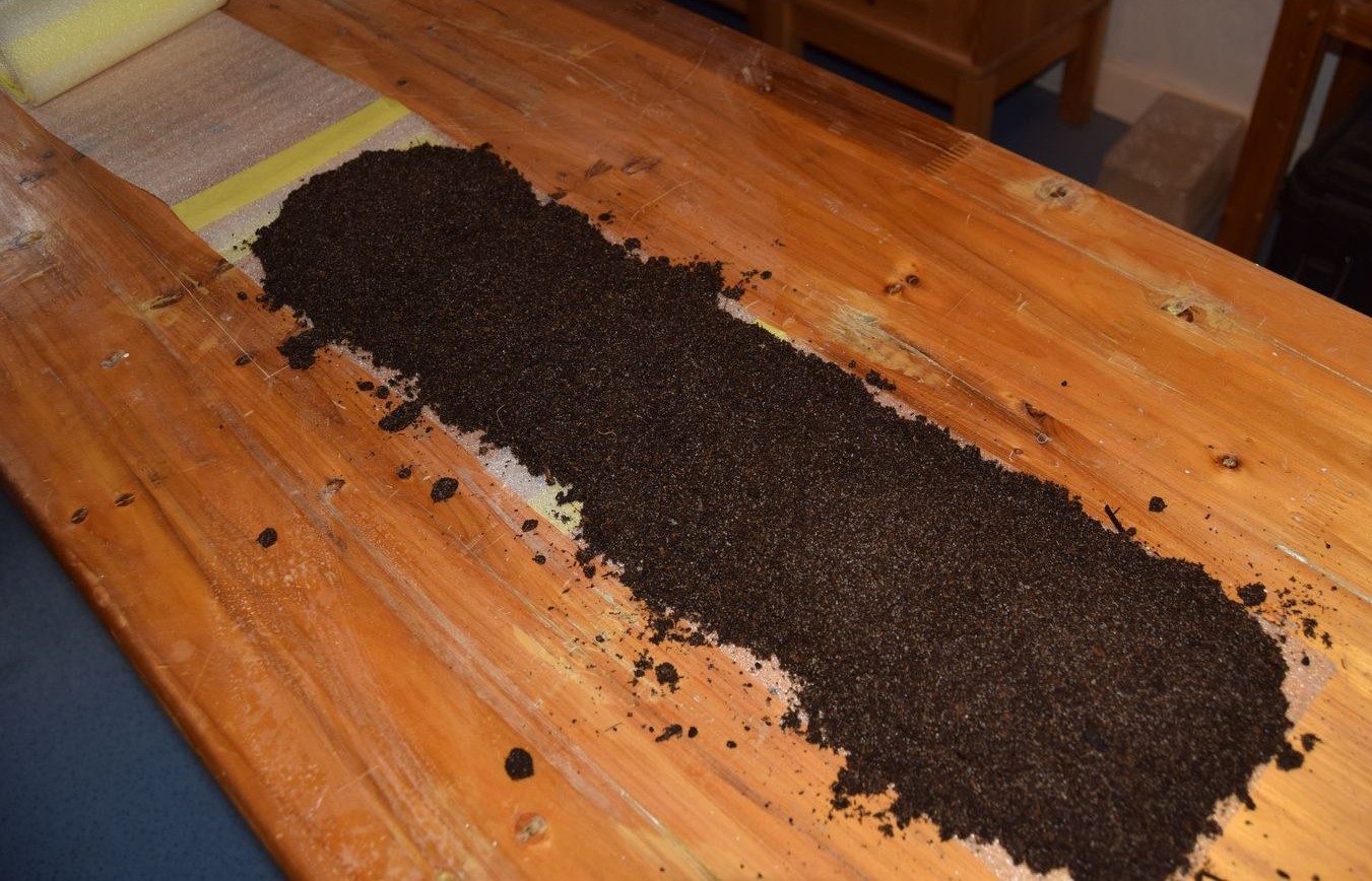Start Your Seeds in a Snail Roll! - North Shore Gardening Life